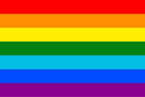 A Guide to LGBTQ+ Pride Flags