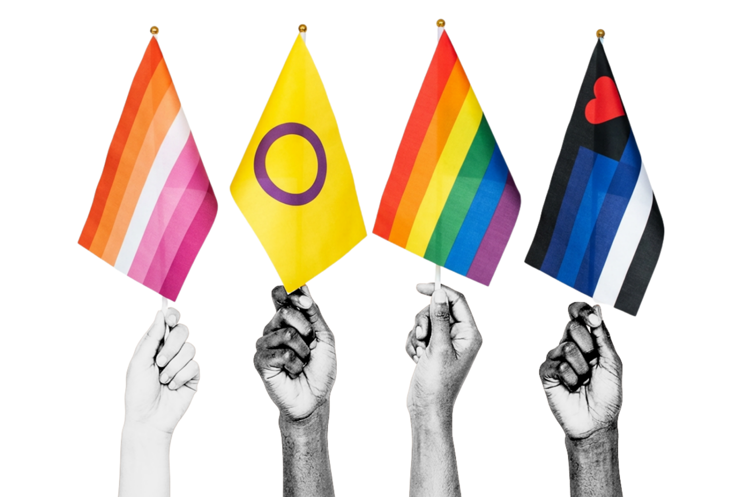 A Guide to LGBTQ+ Pride Flags