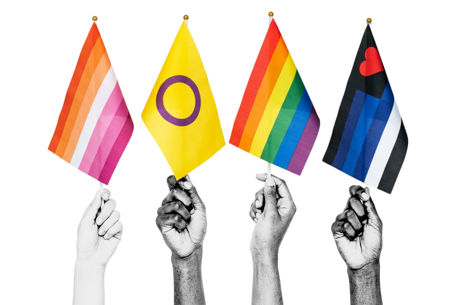 A Guide to LGBTQ+ Pride Flags
