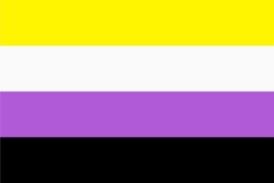 A Guide to LGBTQ+ Pride Flags