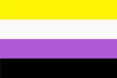 A Guide to LGBTQ+ Pride Flags