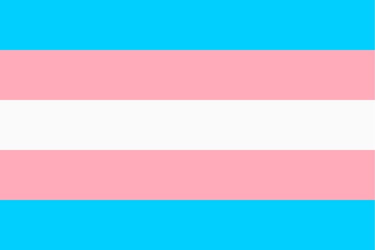 A Guide to LGBTQ+ Pride Flags